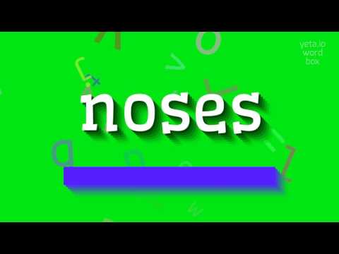 How to say "noses"! (High Quality Voices)