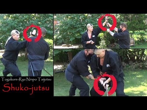 Togakure-ryu Ninpo Taijutsu: Shuko-jutsu Training | Ninja Martial Arts ...