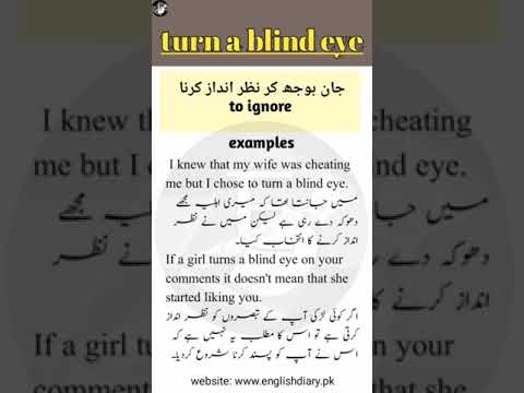 'turn a blind eye' meaning in urdu and examples