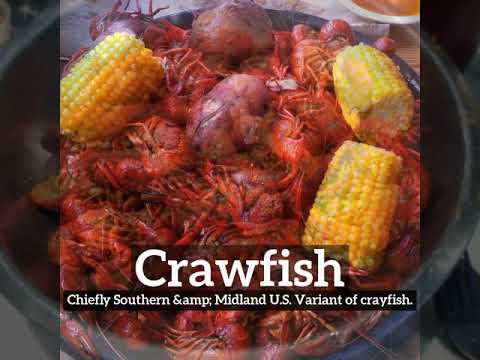 How to Say Crawfish in English? | What is Crawfish? | How Does Crawfish Look?