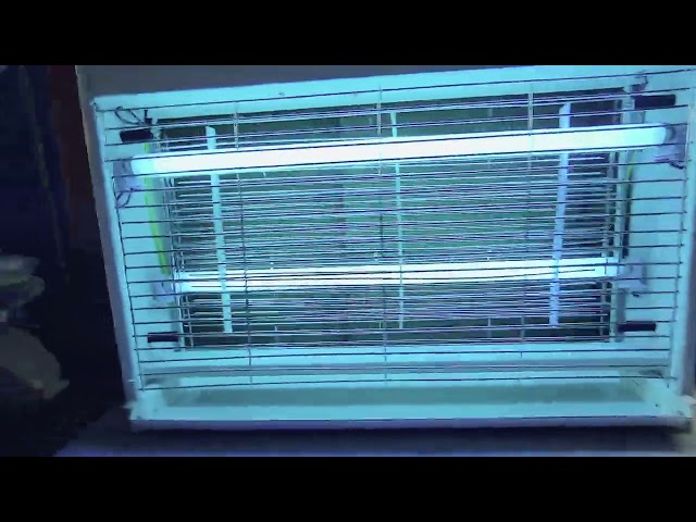 Insect Killer Machine - SS Fly Killer Machine Manufacturer from Pune