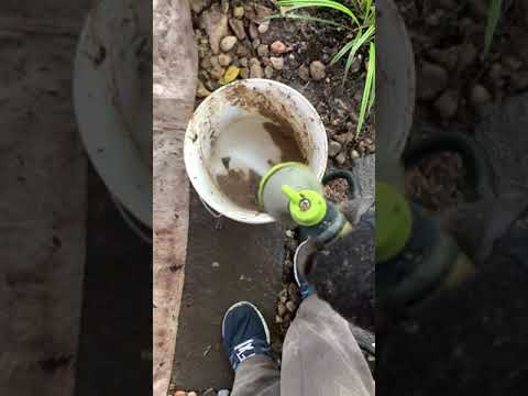 How to Clean Rocks... Because Reasons