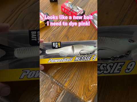 Icast 2023 Berkley Nessie first look