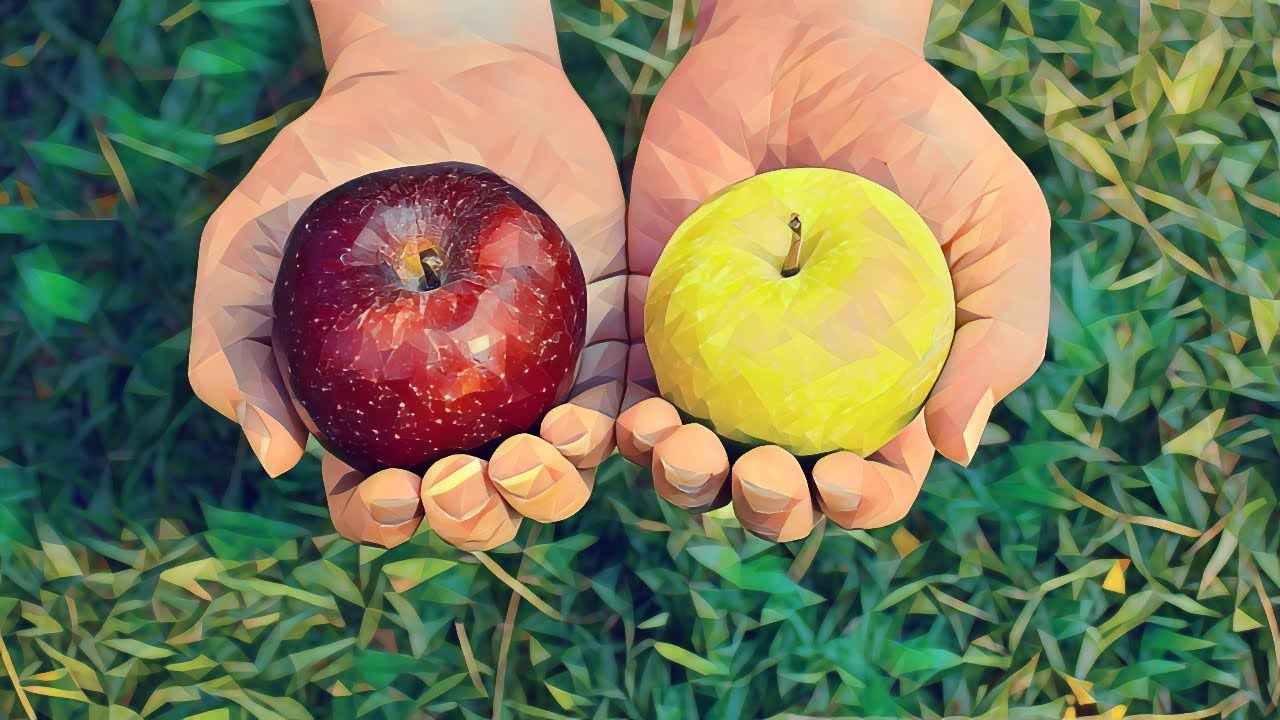 How to Analyze a Fund Using AAII Tools