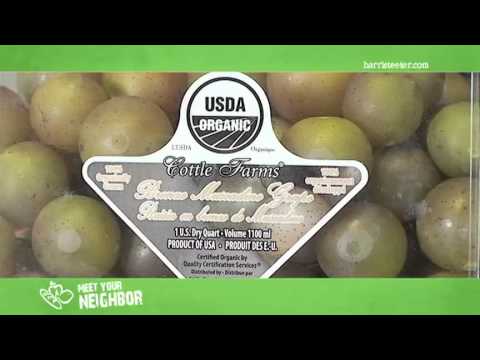 Meet Your Neighbor...Cottle Farm Muscadines
