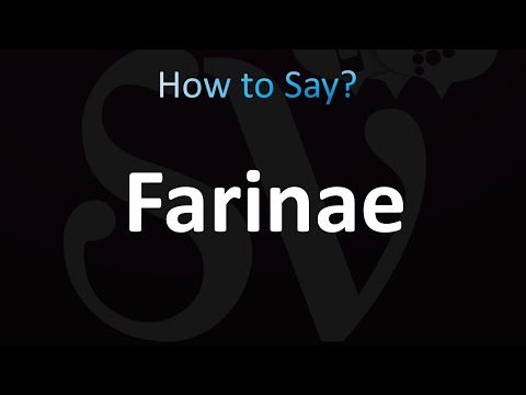 How to Pronounce Farinae (CORRECTLY!)