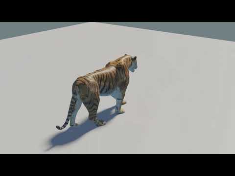 Rigged tiger 3d model