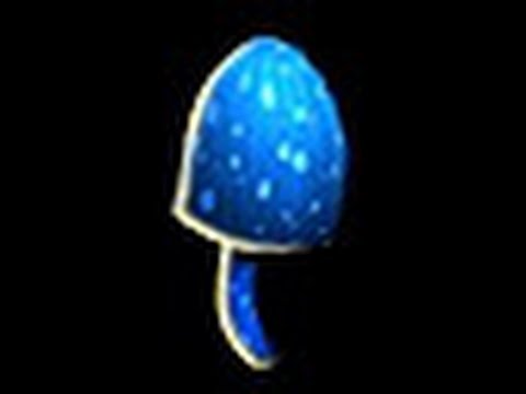 Divinity Original Sin - Barrier Removal Spell - White Witch Barrier - Peace Sells - Achievement - A2