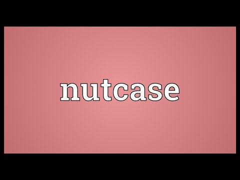 Nutcase Meaning