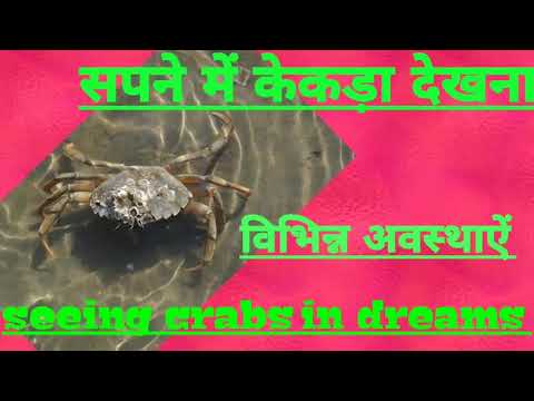 सपने में केकड़ा देखना. विभिन्न अवस्थाऐं. Seeing crabs in dreams.