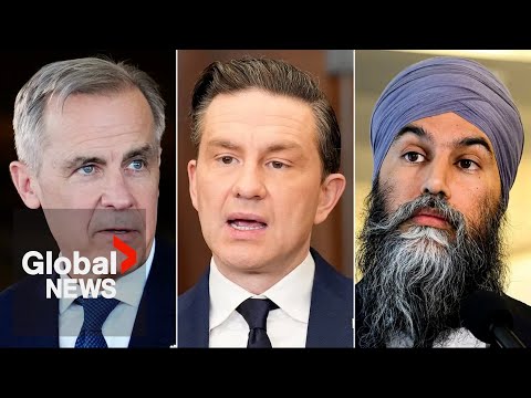 Canada Election 2025: Financial expert compares Liberal, Conservative, and NDP platforms
