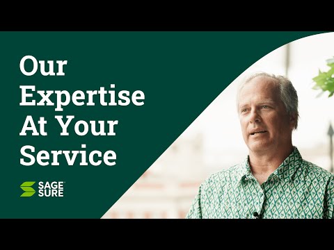 Our Expertise At Your Service