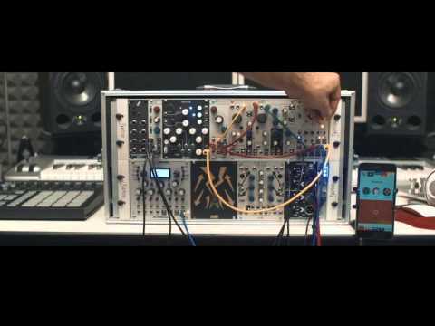 Mutable Instruments Shades iMuso
