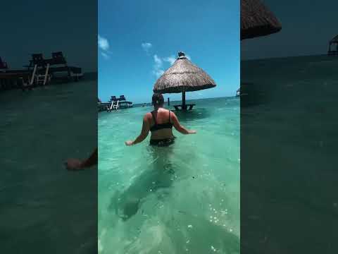 How to spend a day in Caye Caulker, Belize 🇧🇿 Full video coming Friday! #travelbelize #