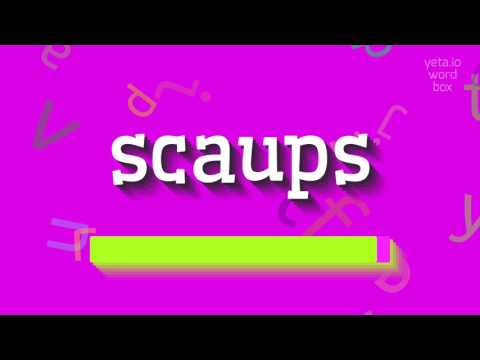 HOW TO SAY SCAUPS? #scaups