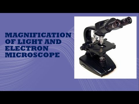 What is magnification of microscope?