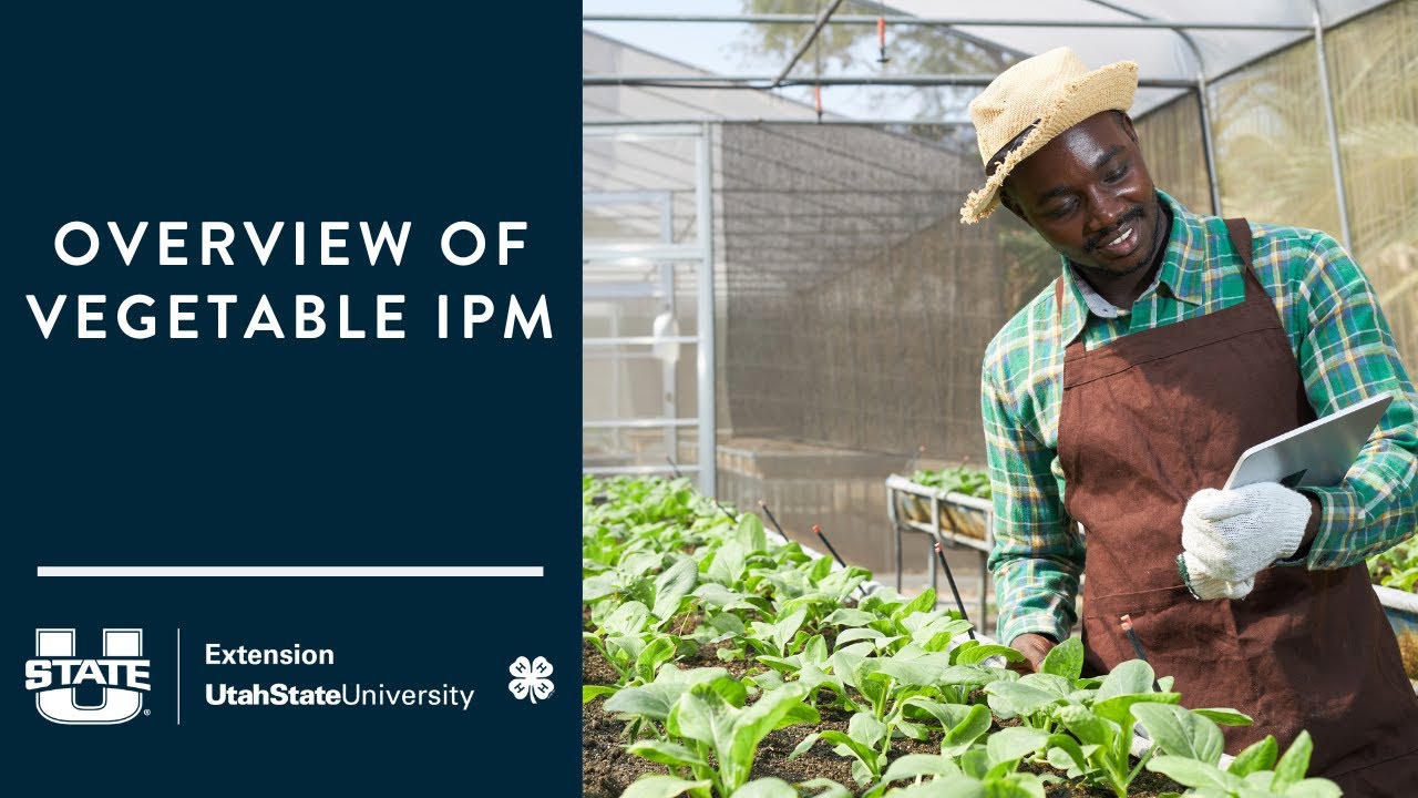 Overview of Vegetable IPM