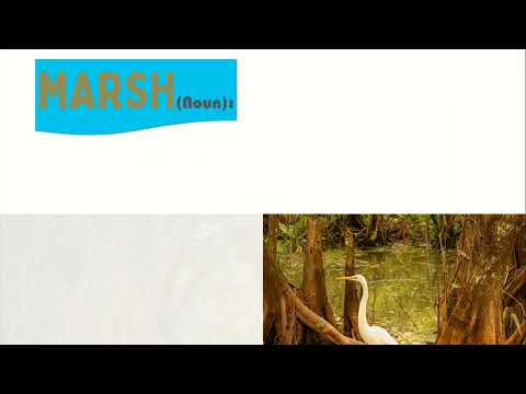 MARSH | Dictionary| Thesaurus| Vocabulary| Synonyms|Word| Meaning| English| Language|