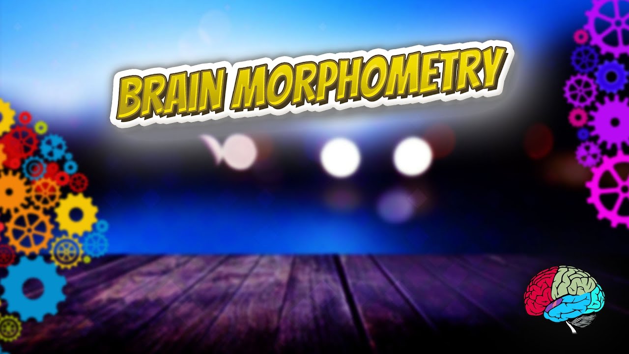 Brain morphometry - Know It ALL 🔊✅