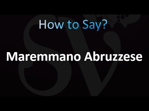 How to Pronounce Maremmano Abruzzese
