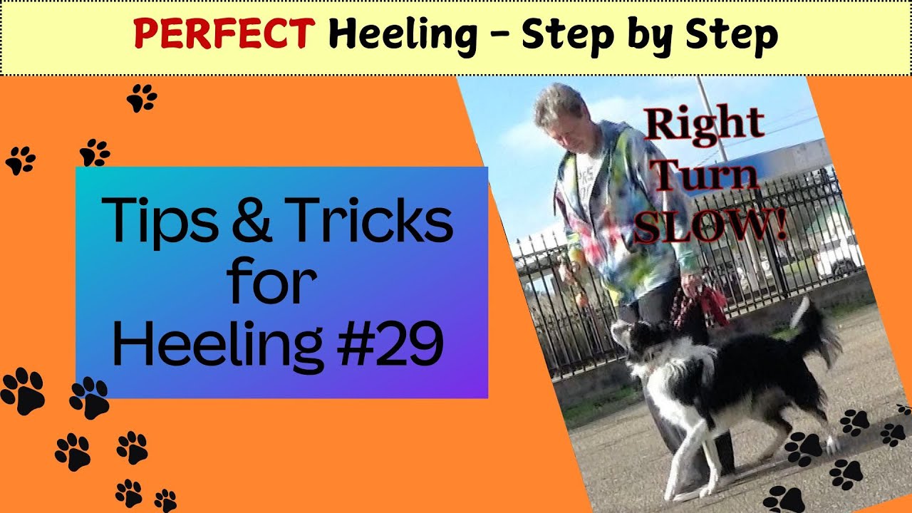 Heeling Tips & Tricks #29 - Intro Right Turn - Perfect Heeling ...