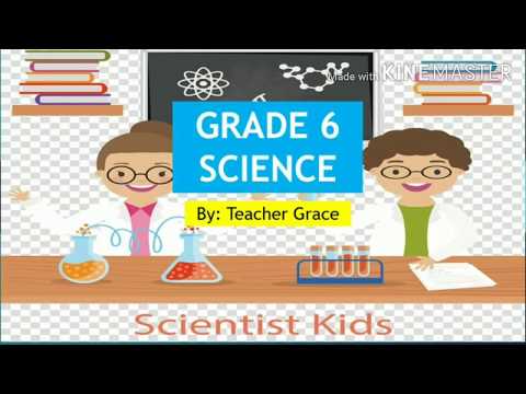 Solution, Suspension and Colloid (Grade 6 Science)