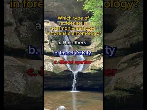 Which type of evidence is commonly analyzed in forensic entomology?