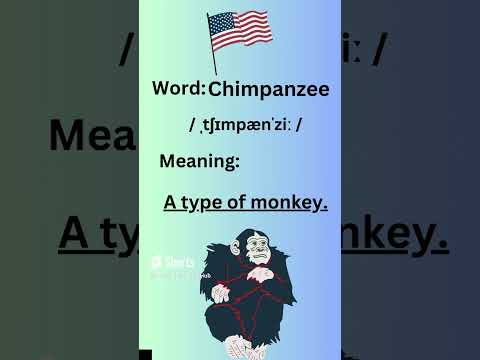 How to Pronounce Chimpanzee in American Accent #learnenglish #learning