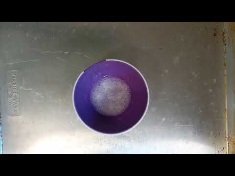 Food Science to Table Episode 6 Leavening Agents