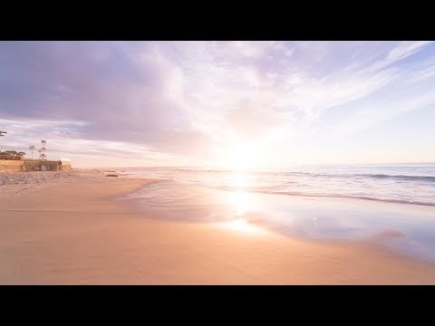 Stay Alive - José González (Lyrics)