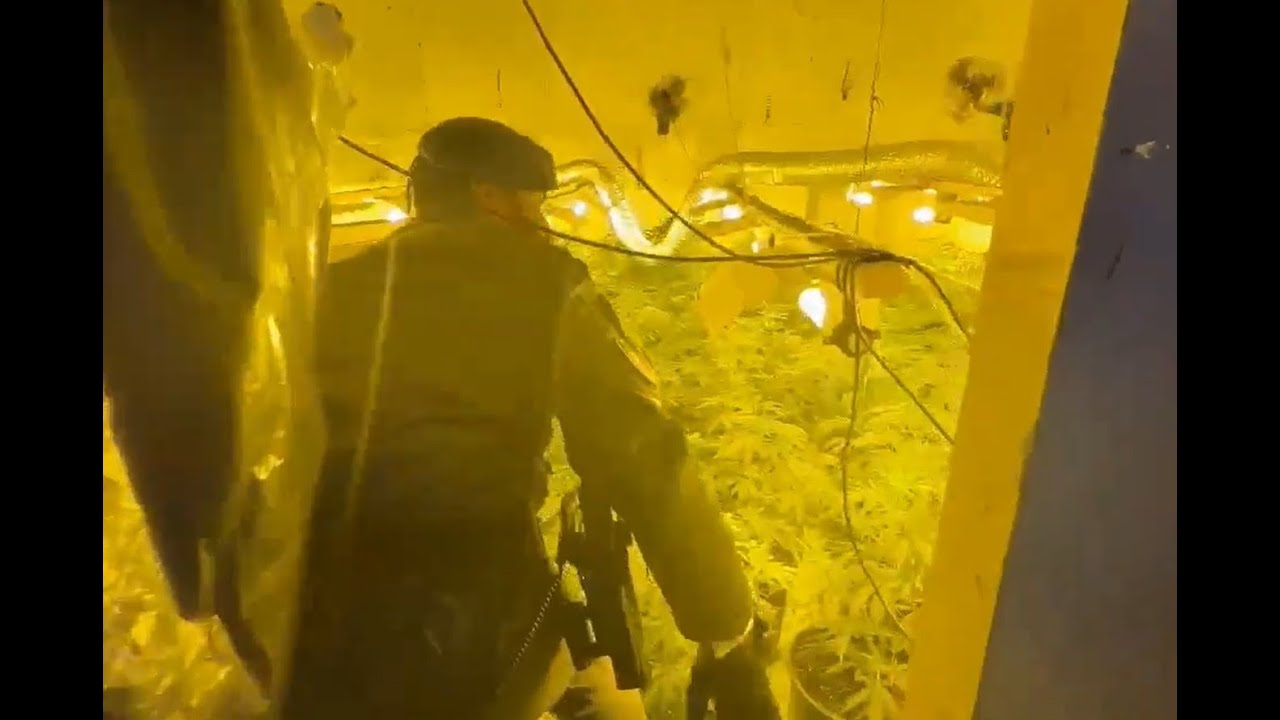 Roma connection: recibían cocaína desde Ecuador, hachís desde España y producían su propia marihuana