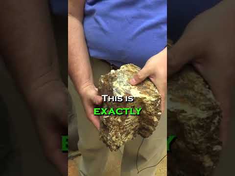 This is Exactly What Geologists Hope to Find!
