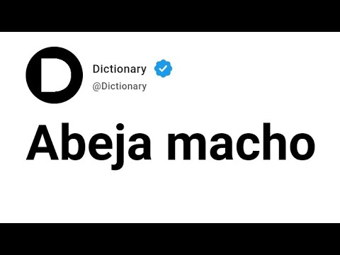 Abeja macho Meaning In English