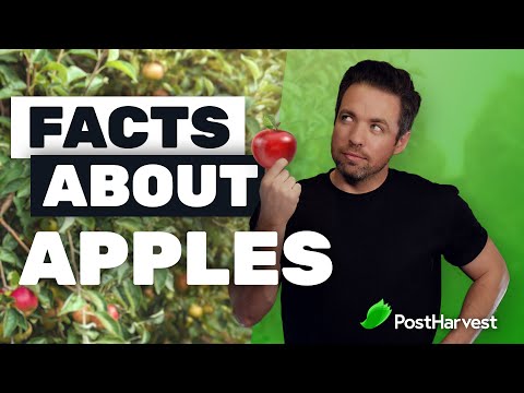 Facts About Apples