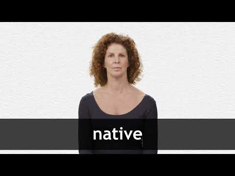 How to pronounce NATIVE in American English