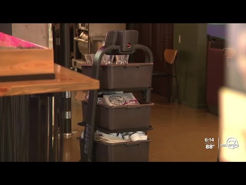 Tom's Watch Bar unveils robot server to help with customer orders