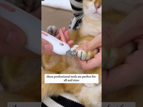 Revolutionary Cat Nail Tool β Easy, Adjustable, and Convenient!" #cat #pets