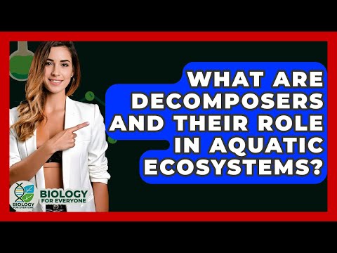 What Are Decomposers And Their Role In Aquatic Ecosystems? - Biology For Everyone