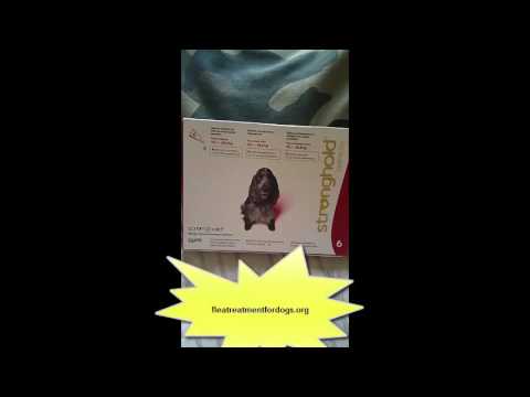 revolution flea control