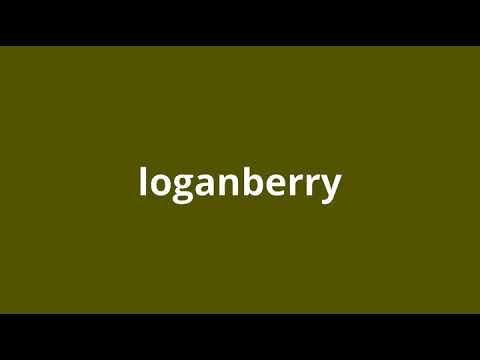 what is the meaning of loganberry