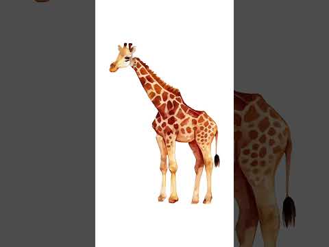 Fun facts about animals!