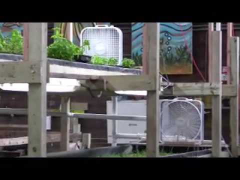 Sweet Water Organics