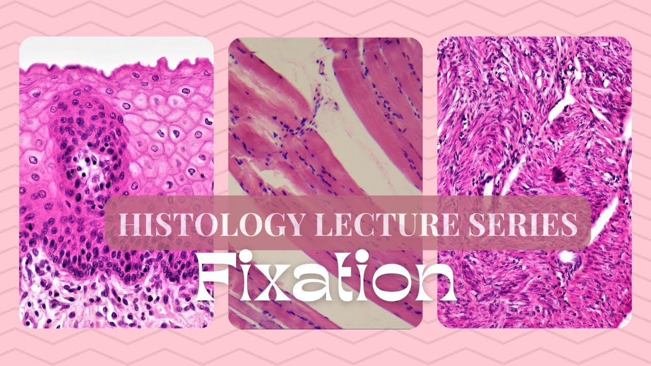 Fixation-Histology Lecture Series