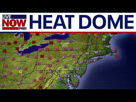 Dangerous heatwave bakes Northeast, records tumble | LiveNOW from FOX