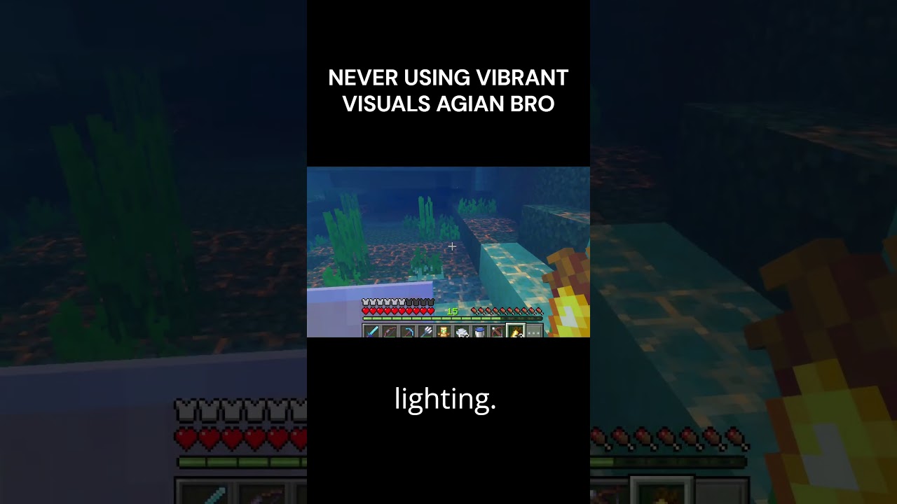 DON'T use Vibrant Visuals in Minecraft