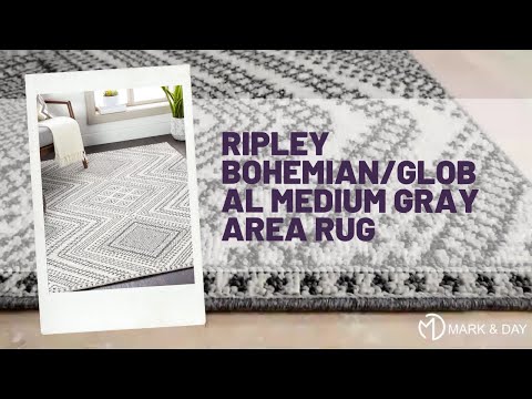Ripley Bohemian/Global Medium Gray Area Rug