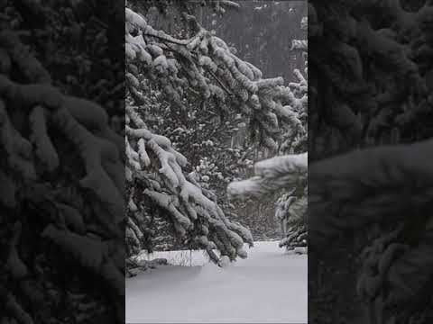 Scotland has 421 words for snow!