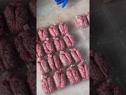 Inside the Process: Pig Brain Extraction at a Slaughterhouse 🧠🐖 👀