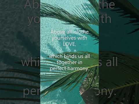 Bible Verse of the Day to Inspire, Edify and Bless You! Colossians 3:12-15 #shorts #scripture #bible