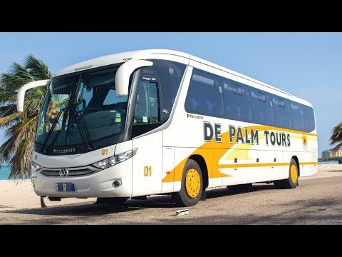 Aruba Airport Transportation - By De Palm Tours